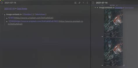 Link To And Embed An Image Help Obsidian Forum
