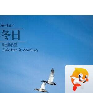 阳春三月 冬日湿地精灵 VV