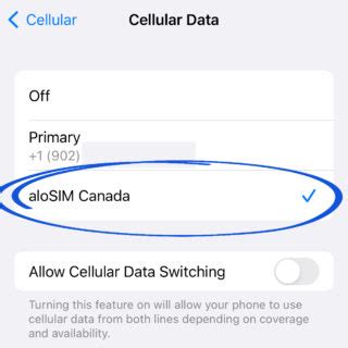Data ESIM IPhone Settings With Examples AloSIM