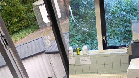 Inbraak Bij Gronings Dierenasiel De Kluis Met Geld Is Gestolen
