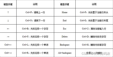 Matlab零基础入门 Csdn博客
