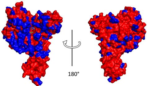TcdB GTD Sequence Variation Across The TcdB Sequence Family The TcdB Download Scientific
