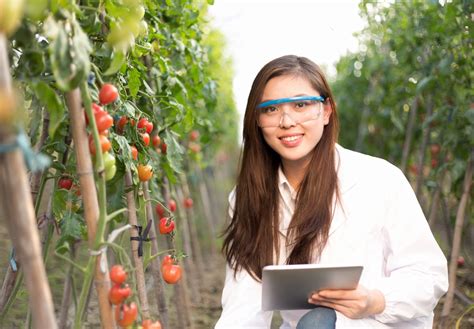 Biological And Agricultural Engineering Major Courses For Degree Career