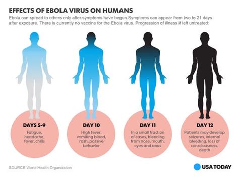 Ebola Outbreak 5 Things You Need To Know Now