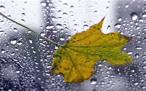 Rain Drops Glass Macro Theme Desktop Wallpaper Album List Page1