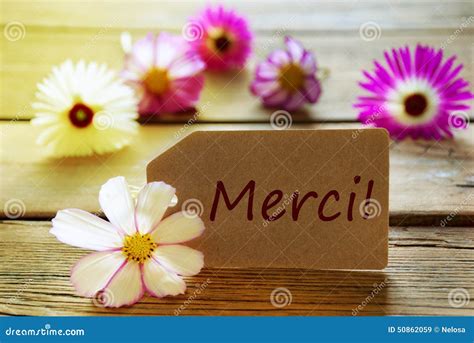 Sunny Label With French Text Merci Avec Des Fleurs De Cosmea Image