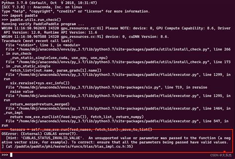 Ai Cuda Cudnn Paddle Cublas Status Invalid Value Oserror