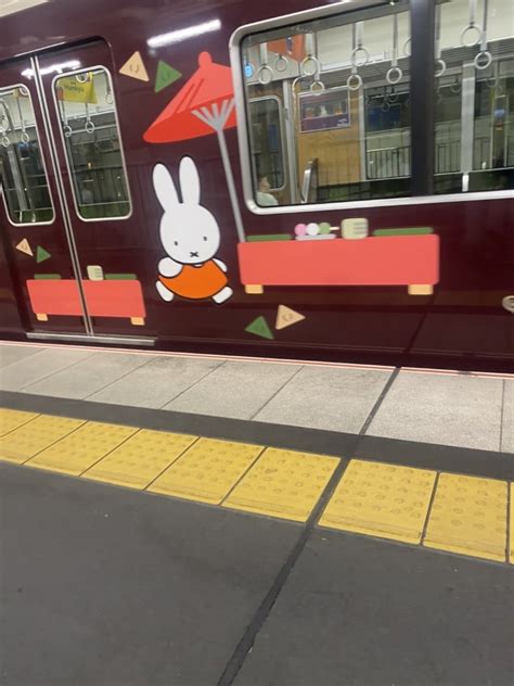 子宮内膜症 7266455090777のブログ