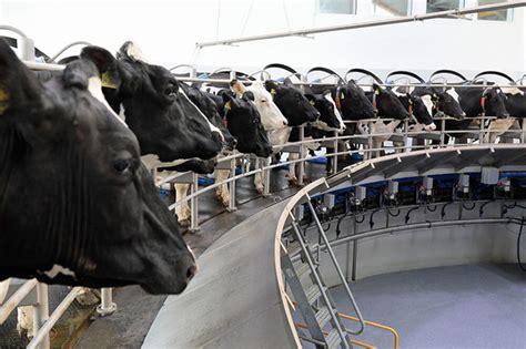 Delaval Rotary E300 Delaval