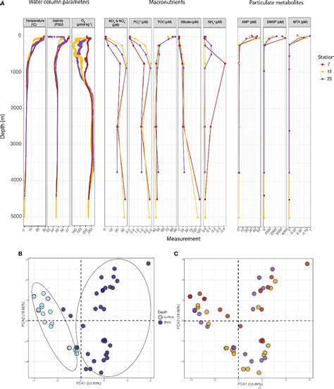 Figure 2 From Pathway Centric Analysis Of Microbial Metabolic Potential