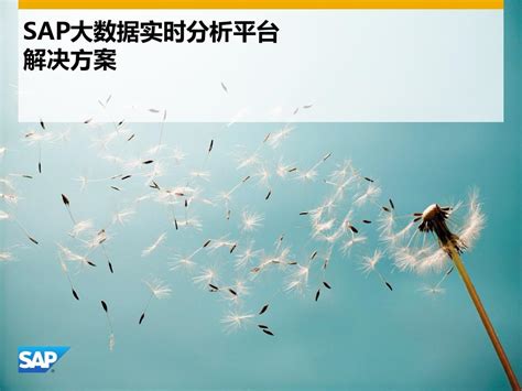 大数据解决方案word文档在线阅读与下载无忧文档