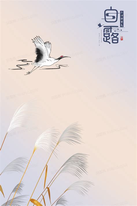 创意二十四节气白露背景背景图片下载3543x5315像素格式编号18rfmkjwz图精灵