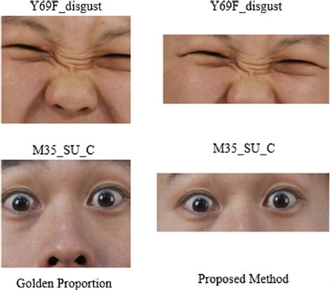 figure 1 from a robust psychologically oriented emotion recognition
