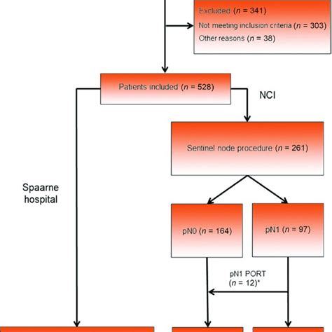 Consort Diagram Nci Netherlands Cancer Institute Port Download Scientific Diagram