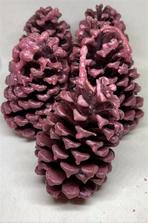 Scented Pine Cone Fire Starters Fire Pit Starters Campfire Starters