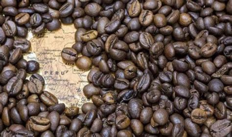 Perú Es El Primer Productor Y Exportador Mundial De Café Orgánico Junto