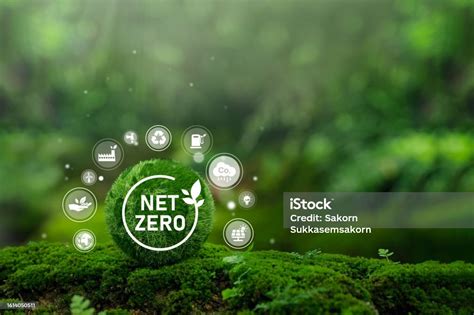Net Zero 개념 및 탄소 중립 자연 환경 기후 중립 장기 배출 전략 목표 지속 가능성 지구 아이콘 녹색 배경 0에 대한 스톡 사진 및 기타 이미지 Istock
