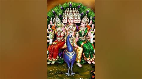 முருகன் திருப்புகழ் மகிமை Youtube