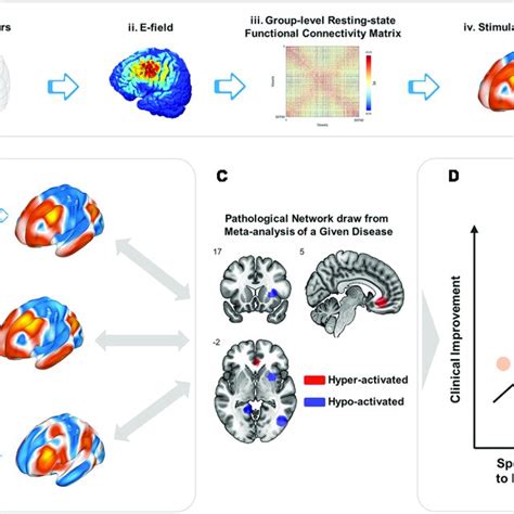 Network Targeting Accuracy Predicts Treatment Efficacy In The Clinical