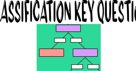 Classification Key Questions 1
