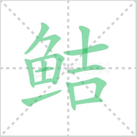《鲒》字的笔顺、笔画动画 鲒字怎么写？ 汉字笔顺笔画查询 汉字规范书写动画演示
