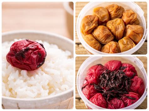 【食べ比べお試しセット】天日塩と赤紫蘇で漬けた梅干し 280g×2パック：和歌山県の投稿｜食べチョク｜産地直送産直お取り寄せ通販 農家
