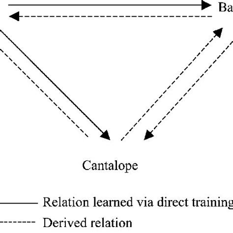 Trained And Derived Stimulus Relations Download Scientific Diagram