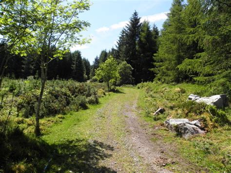Rough Lane Ballymacan Kenneth Allen Cc By Sa 2 0 Geograph Ireland