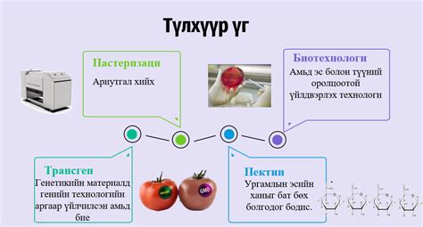 Мэдлээ Цахим контент