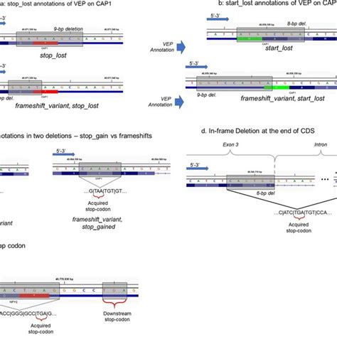 Examples Of Mismatches Between SVAT And VEP While Annotating Deletions