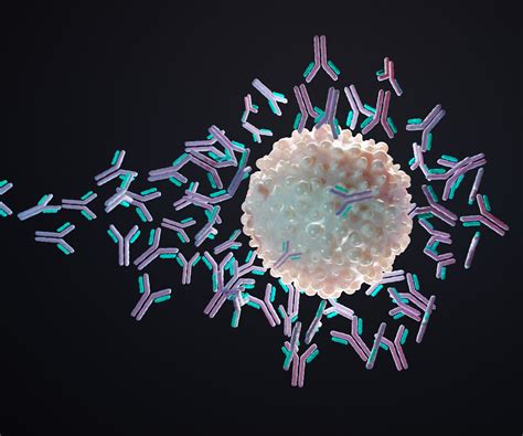 Bioanalytical Lab And Top Cro For Bioanalysis Bioagilytix