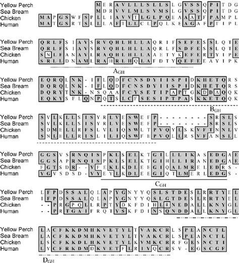 Amino Acid Alignment Of Yellow Perch Genbank Aag09621 Sea Bream