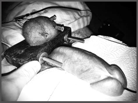 A Perfect Circuit Image 3998675 Thisvid Tube