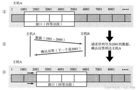 Udp Tcp Tcp Udp Csdn