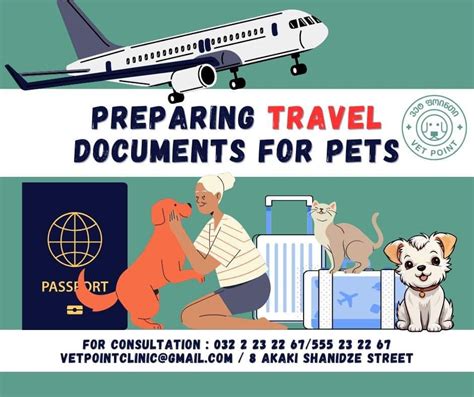 Vet Point ვეტერინარული კლინიკა Tbilisi