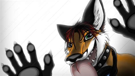 Furry Fandom Wallpaper Images
