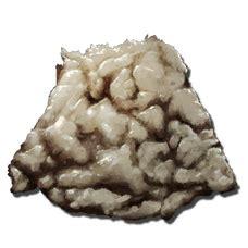 Clay ARK Official Community Wiki