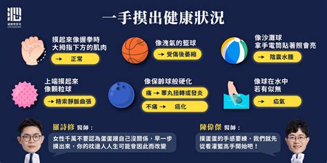 蛋蛋摸起來「硬硬居然不痛」當心睾丸癌！醫教自摸：兩邊不對稱馬上就醫 健康大小事 生活 Nownews今日新聞