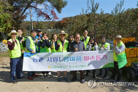 농협 축산물도매분사 수확기 농가 일손 돕기에 박차 연합뉴스