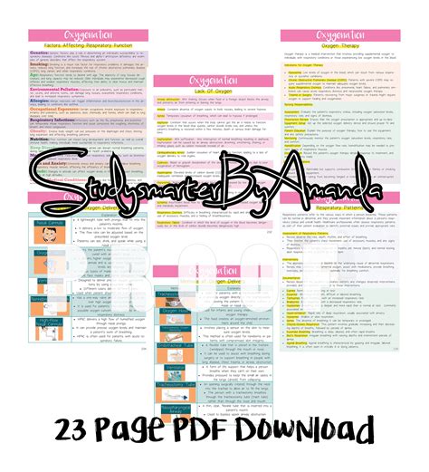 Oxygenation Nursing Study Guide Etsy