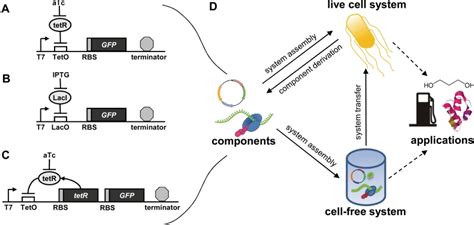 Genetic Components Characterized And Role Of Cell Free Systems In