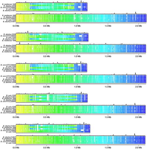 Whole Genome Alignment Of Sequenced Brucella Strains The Five Genomes