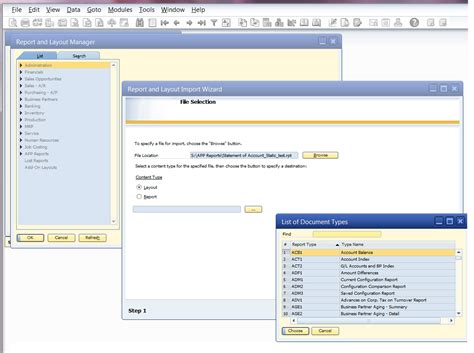 Report And Layout Manager Sap Community