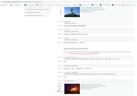 Custom Icon Settings In Service Editor Esri Community
