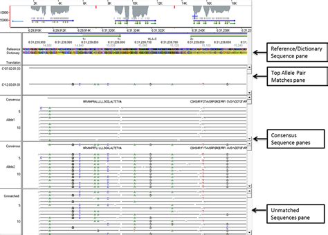 HLA Analysis