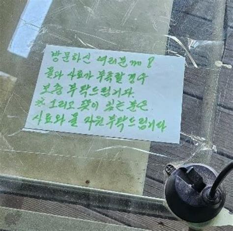 산 오두막쉼터 근황feat 캣맘 포텐 터짐 최신순 에펨코리아