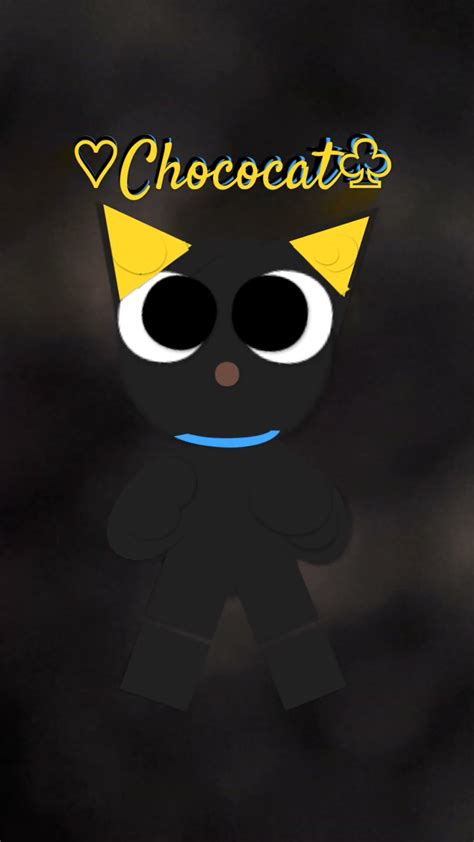 Choco Cat Fanss Here Idontknowwhattoputhere Music Kpop Idk Art