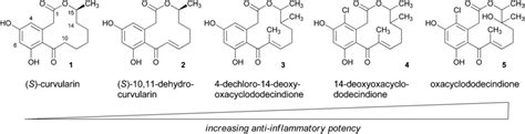 Structures Of The Secondary Metabolites 1 5 Download Scientific Diagram