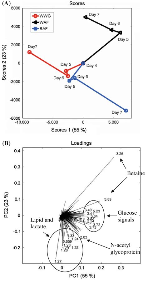 anova simultaneous component analysis asca scores a and loadings b