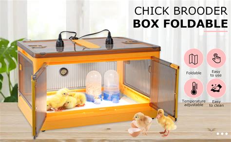 Chicken Brooder Box For Chicks Chicken Brooder Box Kit With